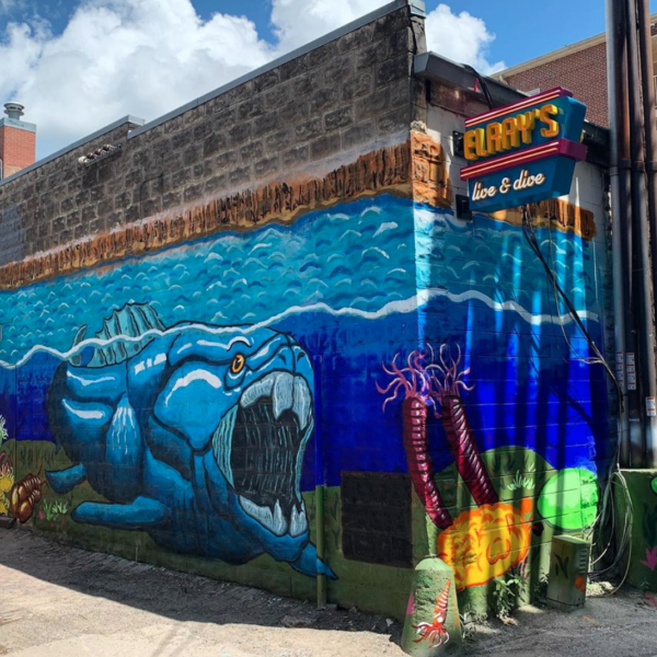 Elray's Live & Dive | Iowa City Downtown District