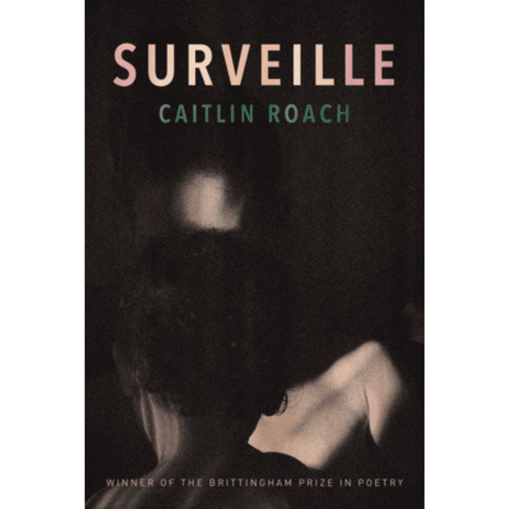 Caitlin Roach in conversation with Rachel Yoder - Surveille | Iowa City ...